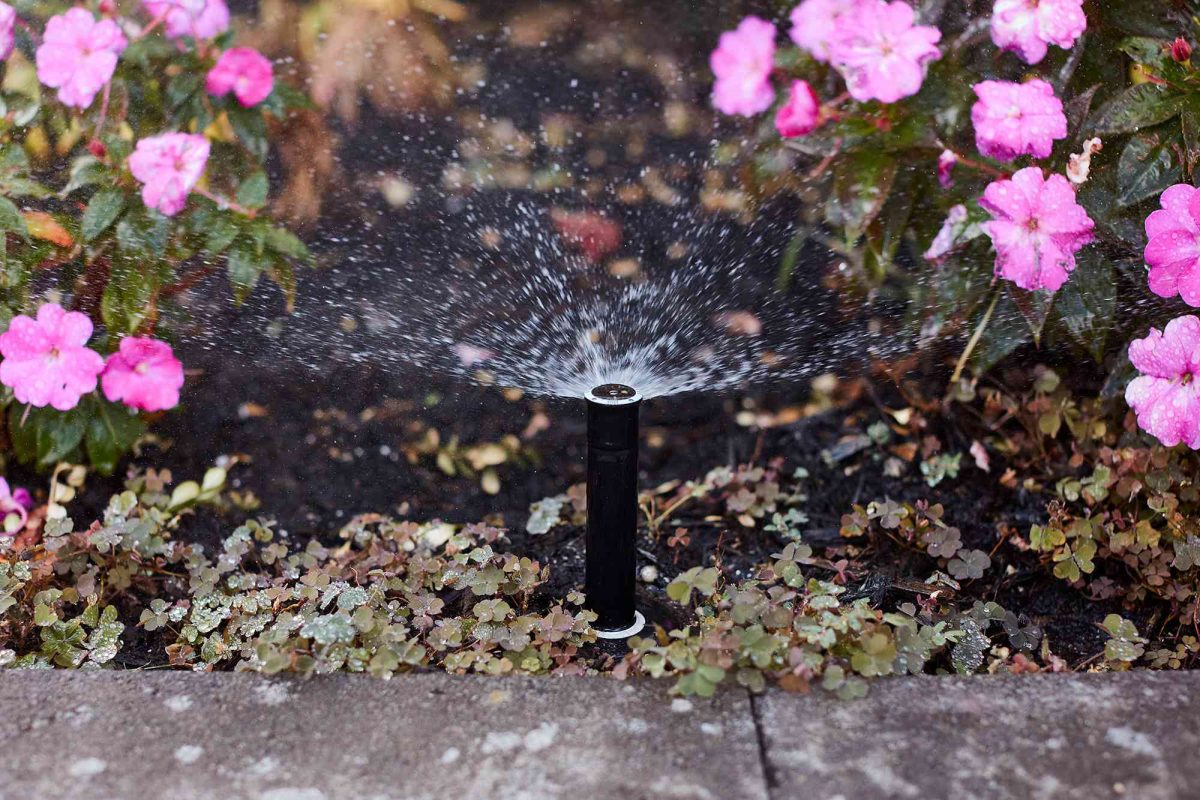 How to Install Automatic Drain Valves to Prevent Frozen Sprinkler ...