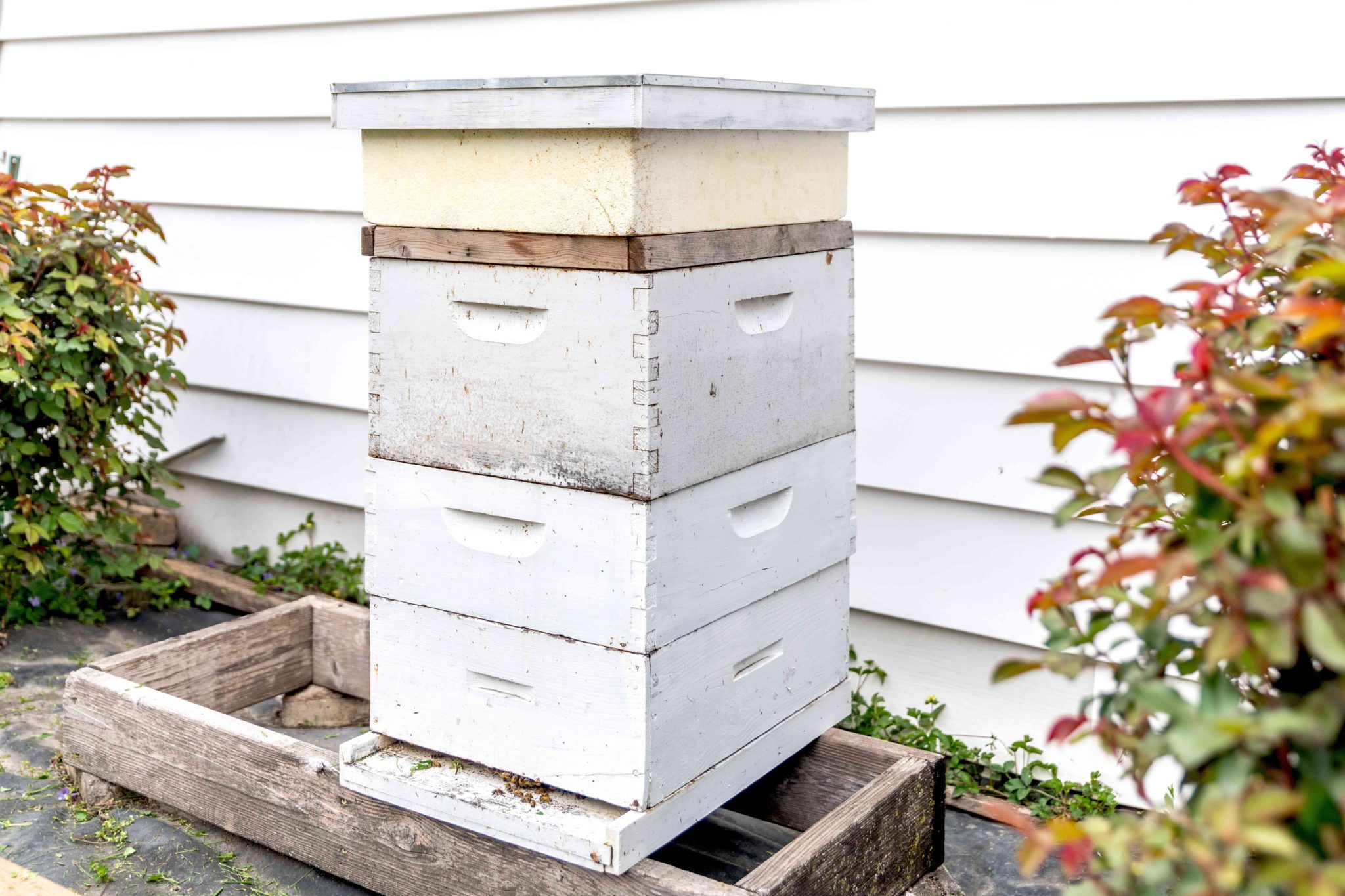 15 Free Beehive Plans | Hello Home Improvement