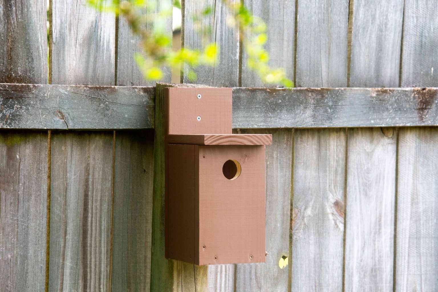 How to Build a Birdhouse: 9 Easy Steps | Hello Home Improvement